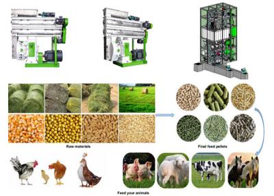 China Industrial Animal Feed Pellet Machine 1-10 TPH Capacity for Chicken Sheep Fish Food Production for sale
