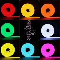 China 5x12mm Lake Blue LED Neon Flex Strip Silica Gel Waterproof Neon Flexible Strip Light for sale