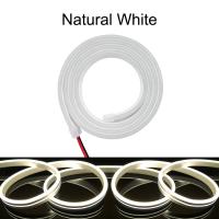 China 8X16MM IP65 LED Neon Rope Light 12V DC LED Flexible Tube Light for sale