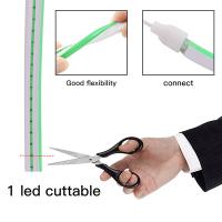 China 8X16MM IP65 LED Neon Rope Light 12V DC LED Flexible Tube Light for sale