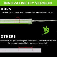 China IP65 IP67 LED Neon Flex Strip12V LED Flexible Neon Tube Lights for sale