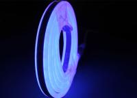 China Double Sides Lighting LED Neon Flex Rope Light 12V Input LED Neon Rope Light waterproof Blue light for sale