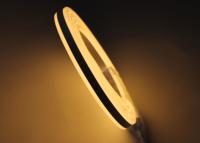 China Waterproof Double-sided Flexible LED Neon Light Color Opt High flexibility, easily DIY various shape for sale