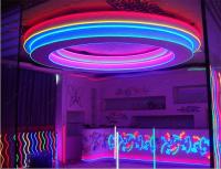 China Waterproof Mini Led Neon Flexible  Lights 110V Input  For Decration for sale