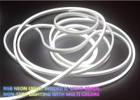 China Flexible Led Neon Rope Lights For Derection 12V  With Single Color Light for sale