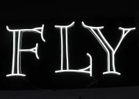 China Personalized  Flex  Custom LED Neon Signs with 14 kinds  optional color for sale