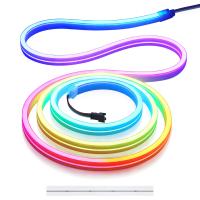 China 8x16mm 12V Digital RGB Pixel Neon LED Strip Light for sale