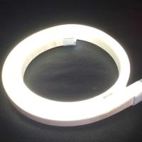 China Indoor / Outdoor LED Neon Tube Light Eco Friendly UV Resistant PVC Material for sale