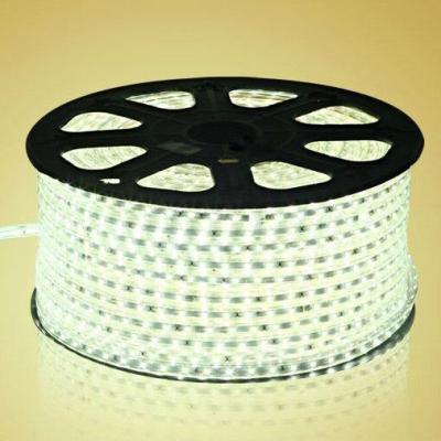 China High Voltage LED Strip 110V AC Input 100M Long SMD 3528 60 LEDs Per Meter With Easy Installation And Cutting Points for sale