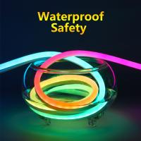 China 12*20mm dream Color LED Neon Flex Strip Programmable LED Neon Lights for sale