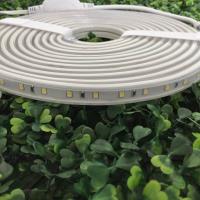 China Waterproof Flexible Led Rope Light , 120V LED Tape Light SMD 2835 16.4 Ft 5M for sale