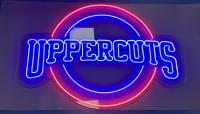 China Landscape 120leds/m 200cm 8W Acrylic LED Neon Sign for sale