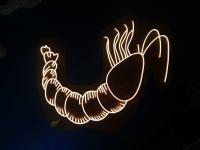 China Landscape 120leds/m 200cm 8W Acrylic LED Neon Sign for sale