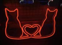 China DC 12V Acrylic Silicone 200cm EU Plug LED Neon Sign for sale