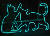 China DC 12V Acrylic Silicone 200cm EU Plug LED Neon Sign for sale