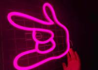 China Pink Palm Hazard Free AU Plug 6ft Wire Led Neon Signs for sale