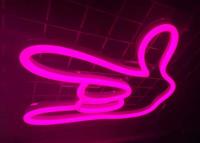 China Pink Palm Hazard Free AU Plug 6ft Wire Led Neon Signs for sale