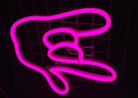 China Pink Palm Hazard Free AU Plug 6ft Wire Led Neon Signs for sale