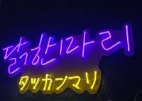 China Dimmable Neon Light Signs For Home 12V Input Led Neon Light Open Sign for sale