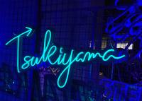 China English word  Custom Neon Signs Home retail solution provider for sale