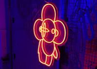 China Flower Pattern 12VDC 10cm Acrylic Led Flexible Neon ROHS for sale