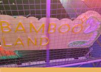 China 100cm Vasten Bamboo Land Custom Neon Sign Silica Gel For Park for sale