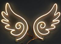 China Silica Gel  Vasten Wing Neon Led Signs 12VDC For Amusement Park for sale