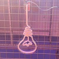 China 50000hrs AC240V Flex LED Neon Sign Warm White LED Sign RoHS for sale