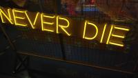 China Cuttable Dimmable Custom Neon Light 8×12mm Silica Bright Yellow 5000hrs for sale