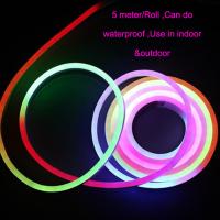 China 12*20mm dream Color LED Neon Flex Strip Programmable LED Neon Lights for sale