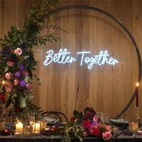 China 4mm Acrylic Plate Neon Letter Sign Dimmable Cuttable AC240V For Weeding Love for sale