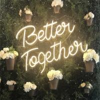 China 4mm Acrylic Plate Neon Letter Sign Dimmable Cuttable AC240V For Weeding Love for sale