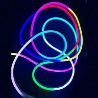 China Programmable CE 12v Neon Flex Led Strips 2 Year Warranty for sale