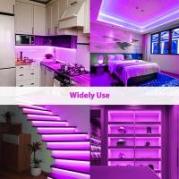 China Purple OEM Led Neon Tube Light Flex Rope 2.5cm Cutting Distance For Bar Home Lighting for sale