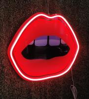 China Wall Decor Art Handmade Neon Sign USB Powered Printing Women Red Lips Neon Sign for sale