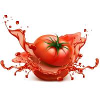China SUS316  Automatic Chili Onion Tomato Sauce Processing Machine Industrial Ketchup Making for sale
