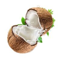 China Tender Coconut Water Processing Plant 150 KW Automatic Machine Industrial for sale
