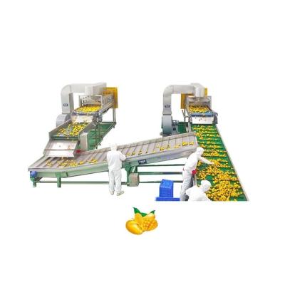 China Automatic 380V Mango Processing Line 5-50T/H Industrial Juice Making Machine for sale