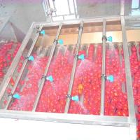 China Full Automatic Fruit Vegetable Processing Line 2-50T/H 415V Industrial Equipment for sale