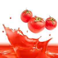 China Full Automatic Fruit Vegetable Processing Line 2-50T/H 415V Industrial Equipment for sale