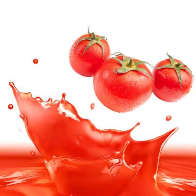 China Full Automatic Fruit Vegetable Processing Line 2-50T/H 415V Industrial Equipment for sale