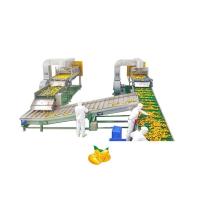 China Industrial Mango Processing Line 5-50T/H Automatic Juice Machine Commercial Fruit Pulp Plant for sale