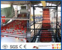 China Tomato Paste Processing Line 2-50T/H with Ketchup Making Machine 380V for sale