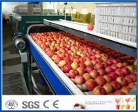 China Fruit Juice Production Fruit And Vegetable Processing Device With SUS304 / SUS316 Steel for sale