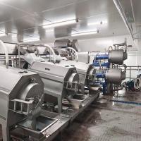 China 5-50T/H Fresh Mango Pulp Plant Automatic Separation Juice Processing Line 380V for sale