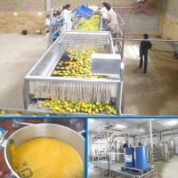 China 5-50T/H Fresh Mango Pulp Plant Automatic Separation Juice Processing Line 380V for sale