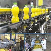 China 5-50T/H Fresh Mango Pulp Plant Automatic Separation Juice Processing Line 380V for sale