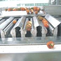 China 380V 50Hz Pineapple Processing Line For Concentrated Juice for sale