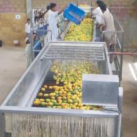 China 380V 50Hz Pineapple Processing Line For Concentrated Juice for sale
