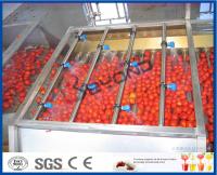 China Full Automatic Tomato Processing Line 2-50T/H Capacity Hot Cold Break System ISO CE for sale